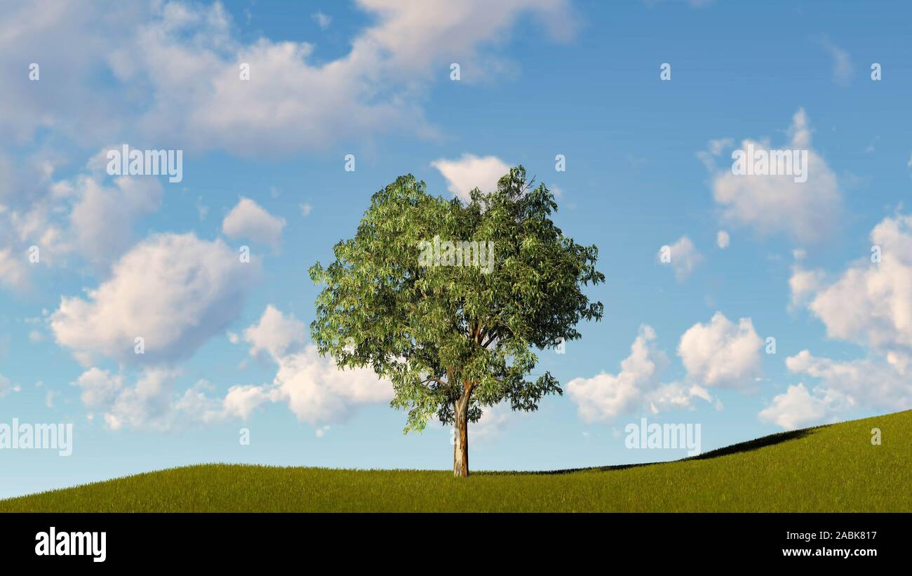 One Tree At Sky Background 3D Rendering Stock Photo - Alamy