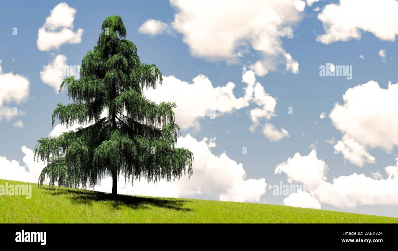 One Tree At Sky Background 3D Rendering Stock Photo - Alamy