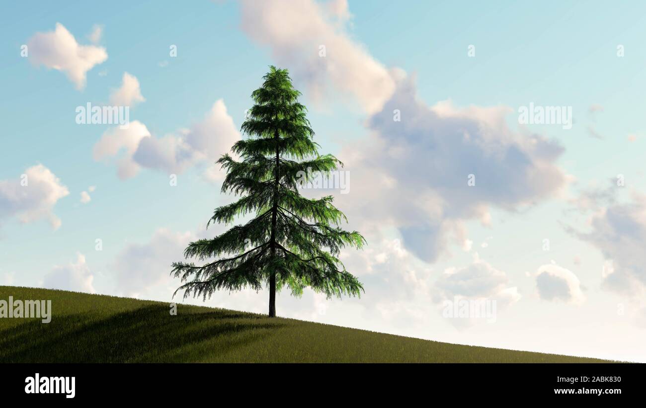 One Tree At Sky Background 3D Rendering Stock Photo - Alamy