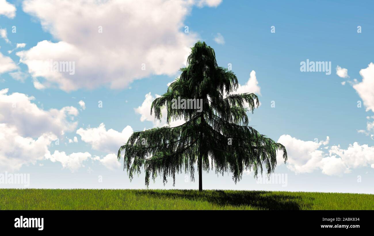 One Tree At Sky Background 3D Rendering Stock Photo - Alamy
