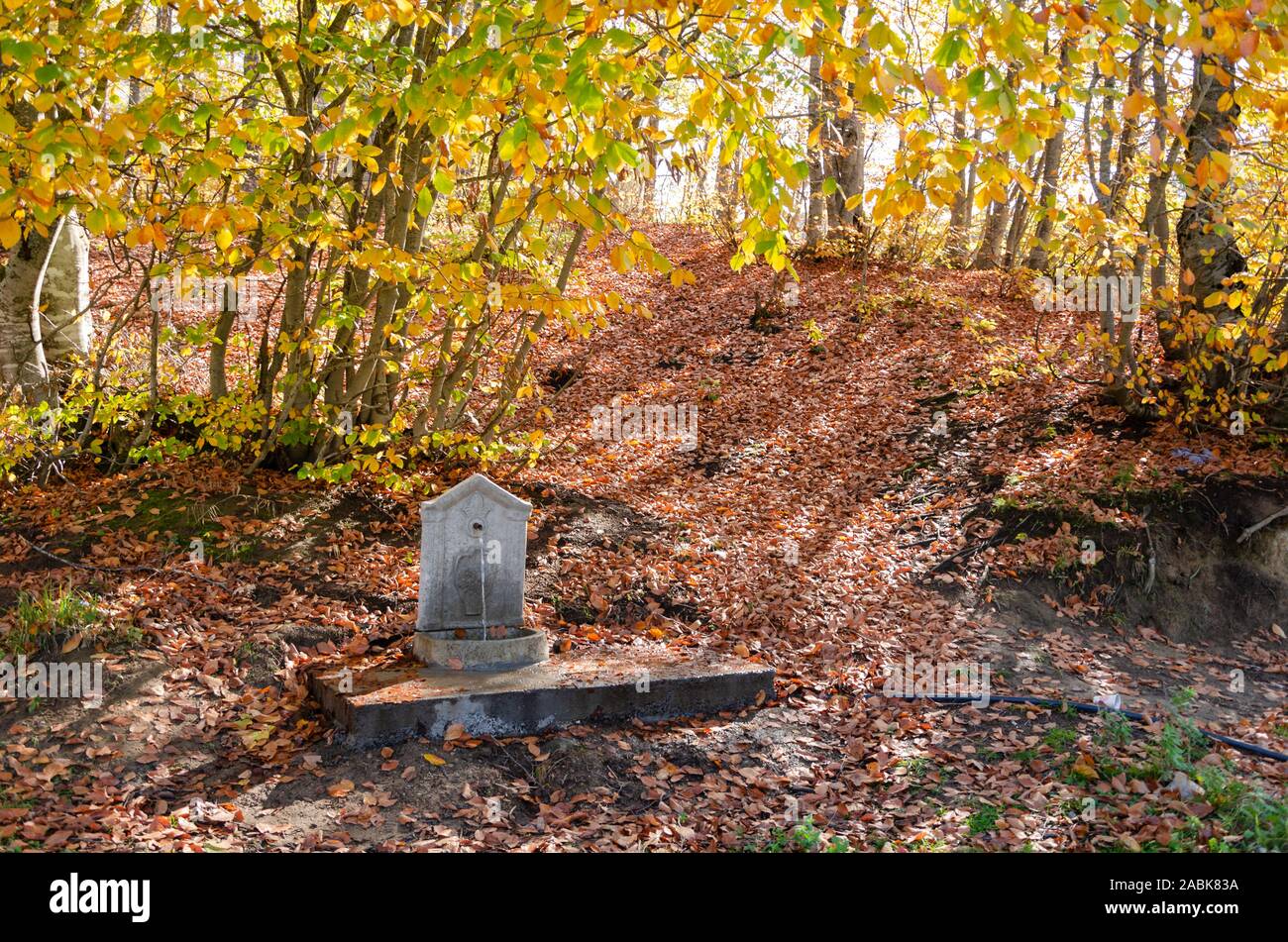 Fountain in the forest in autumn Stock Photo - Alamy