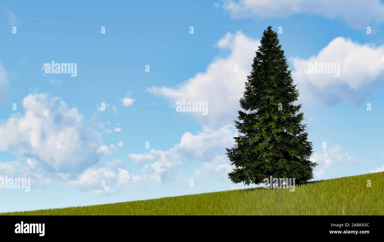 One Tree At Sky Background 3D Rendering Stock Photo - Alamy