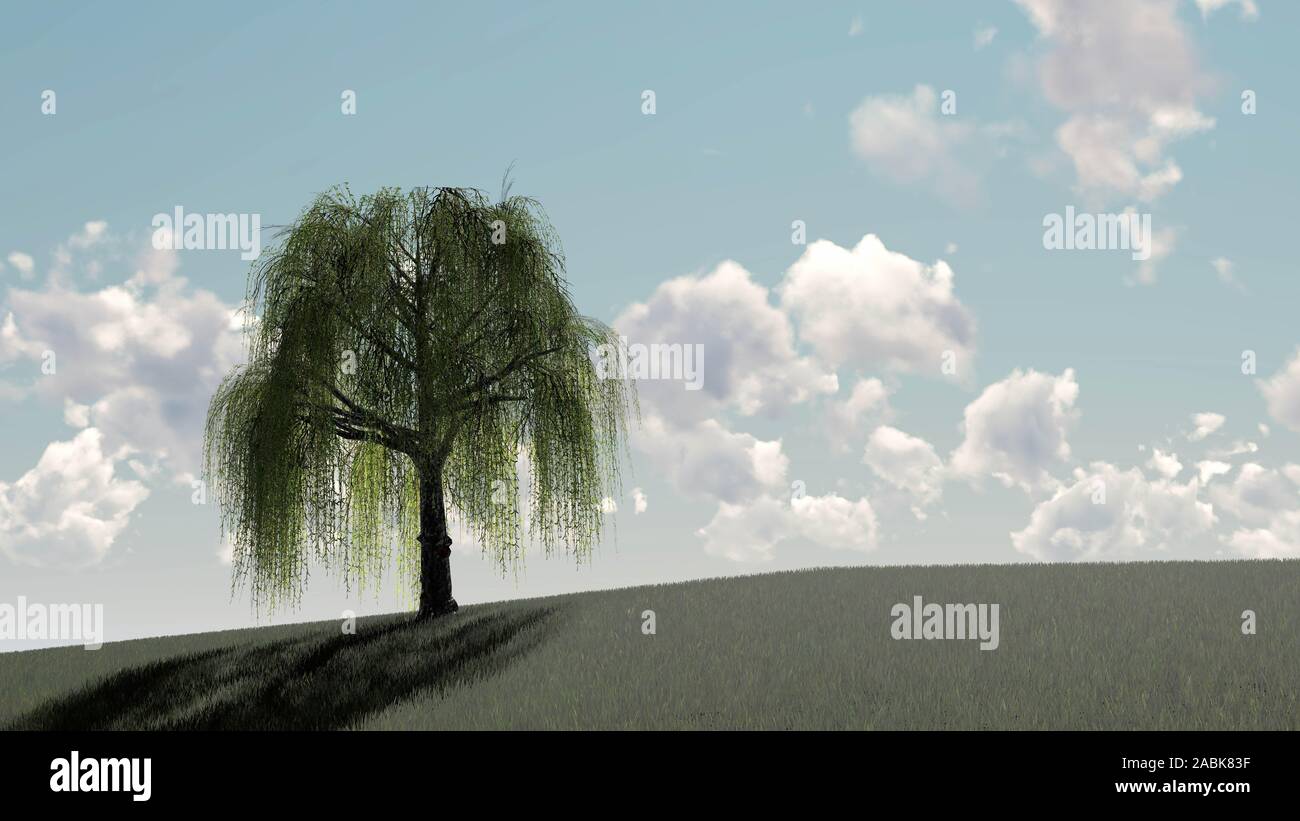 One Tree At Sky Background 3D Rendering Stock Photo - Alamy