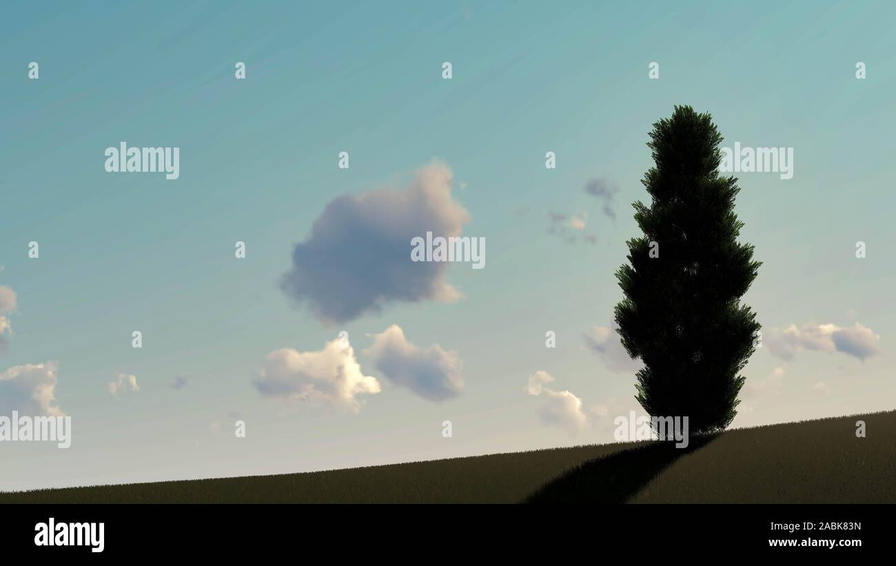 One Tree At Sky Background 3D Rendering Stock Photo - Alamy