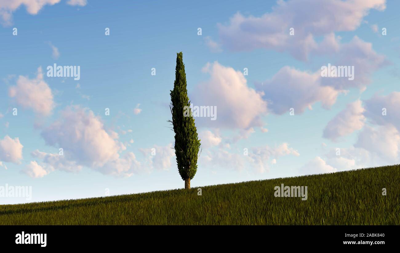 One Tree At Sky Background 3D Rendering Stock Photo - Alamy