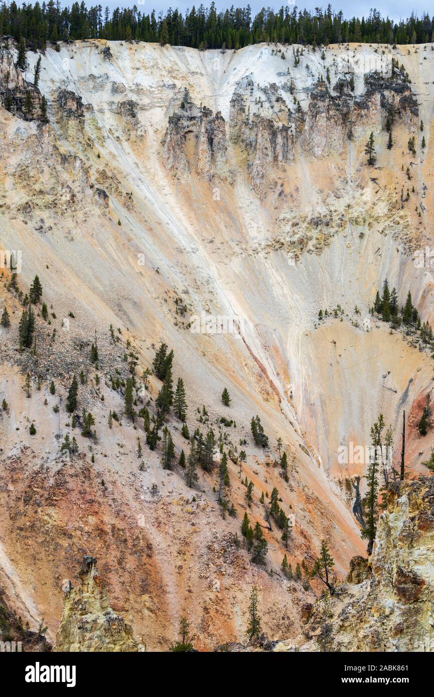 Vertical scene of hill and slope of Grand Canyon of the Yellowstone ...