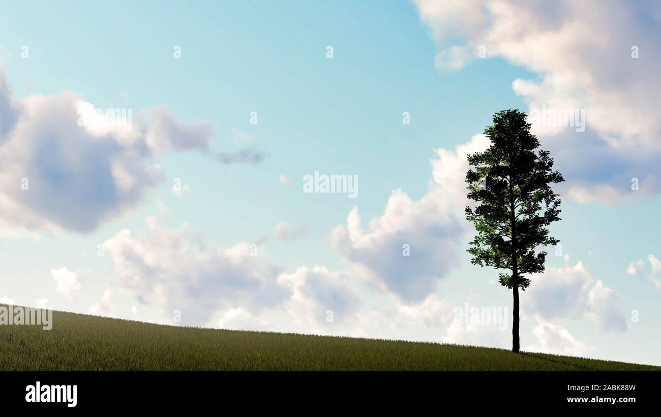 One Tree At Sky Background 3D Rendering Stock Photo - Alamy