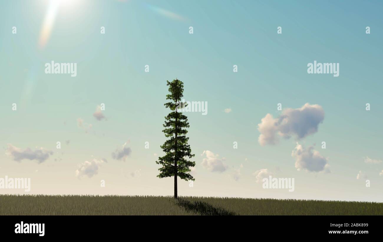 One Tree At Sky Background 3D Rendering Stock Photo - Alamy