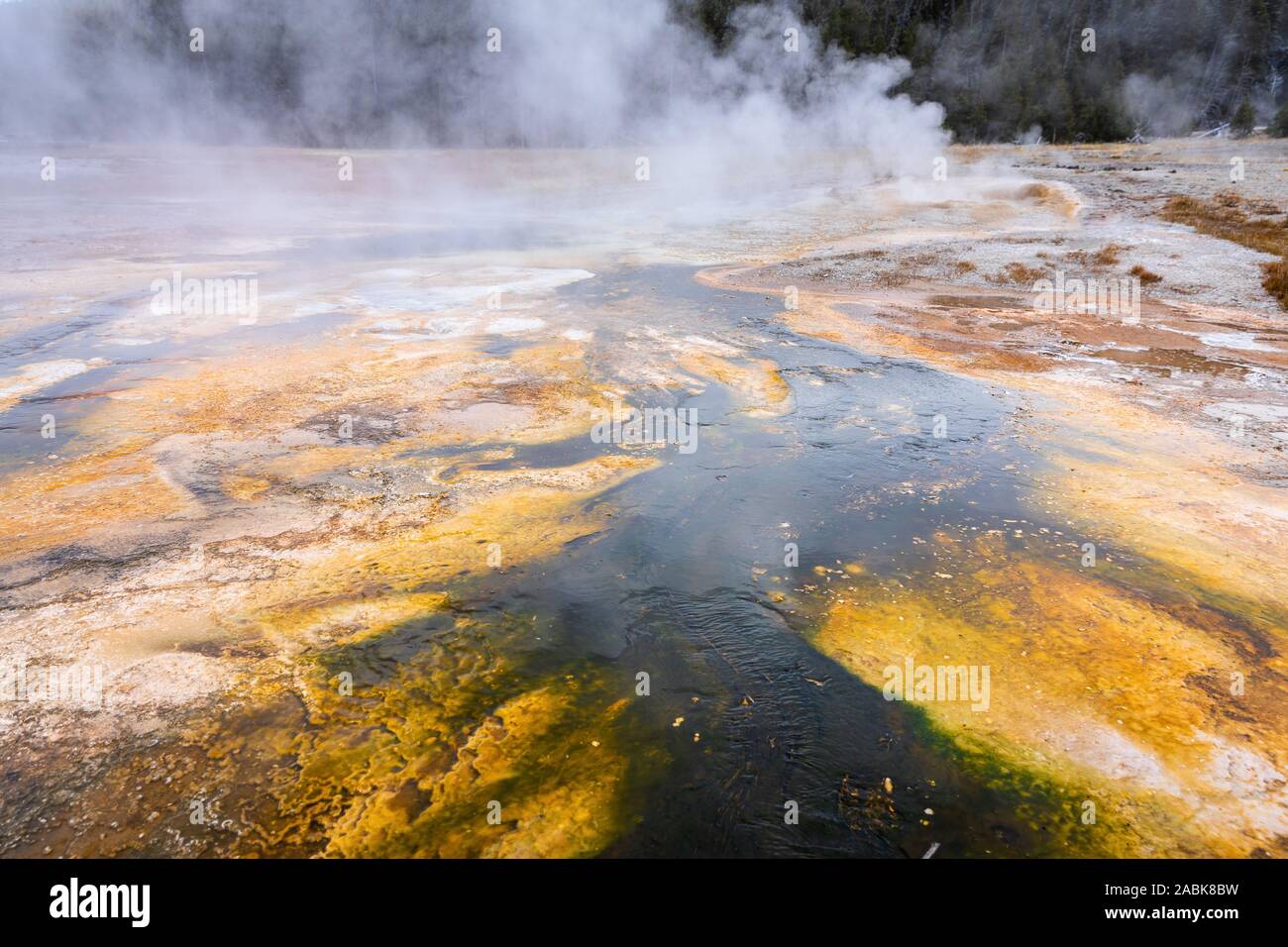 Boiling water from geothermal heat of geyser basin flowing around area ...