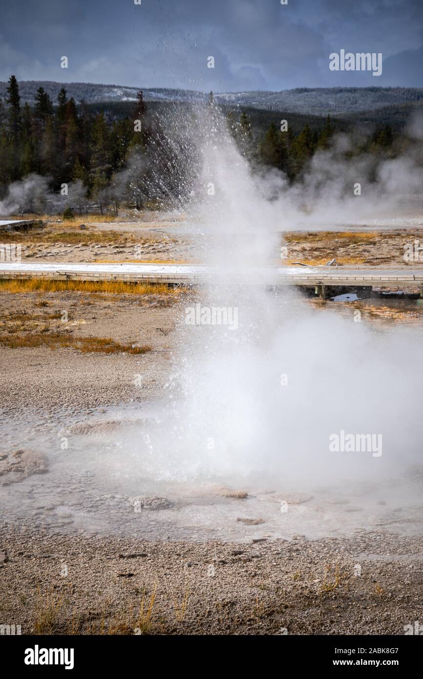 Boiling water exploding from ground of eruption of small geyser basin ...