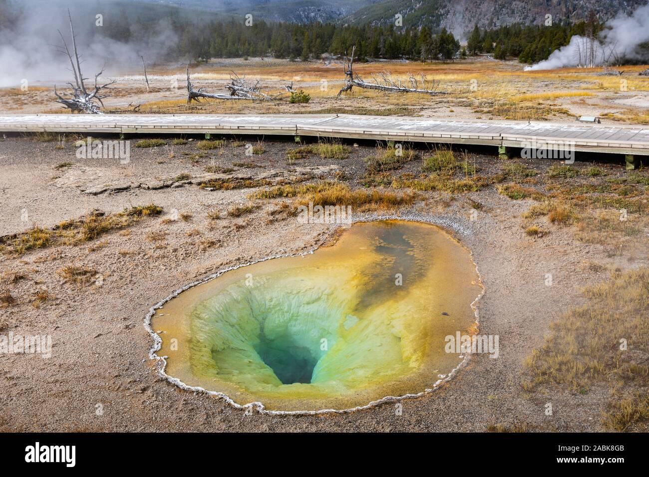 Green and yellow geyser basin with boiling water from geothermal heat ...