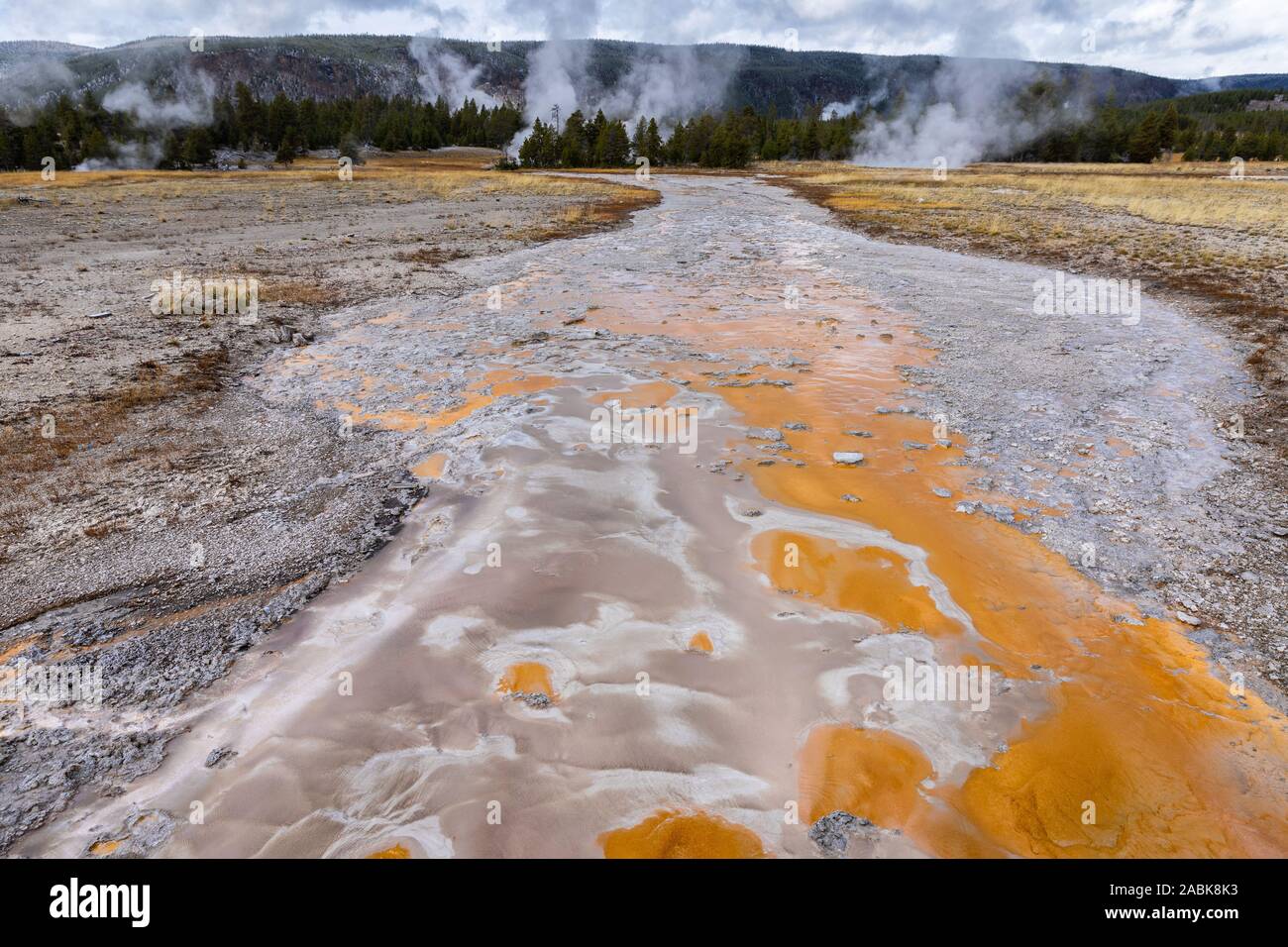 Boiling water from geothermal heat of geyser basin flowing around area ...