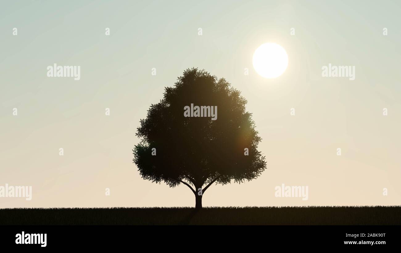 Lonely tree landscape 3D Rendering Stock Photo - Alamy