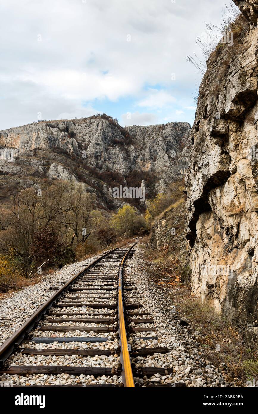 Old abandoned railway tracks in nature leading into the tunnel ...