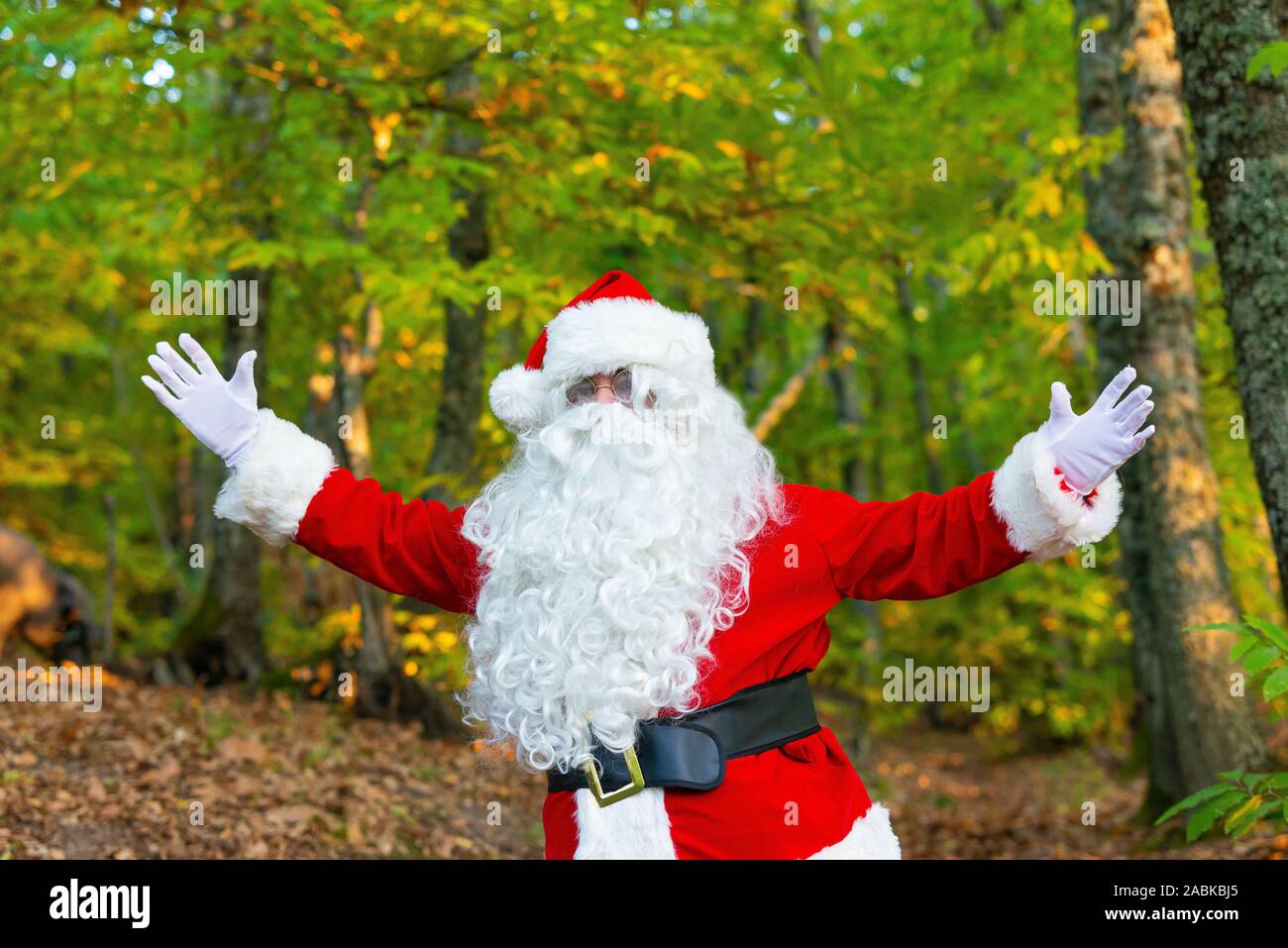 Santa claus in the forest with open arms Stock Photo - Alamy