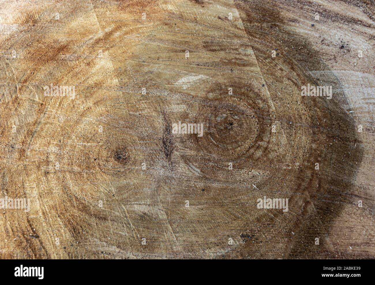 the texture of the cut wood, the texture of the tree ring close up ...