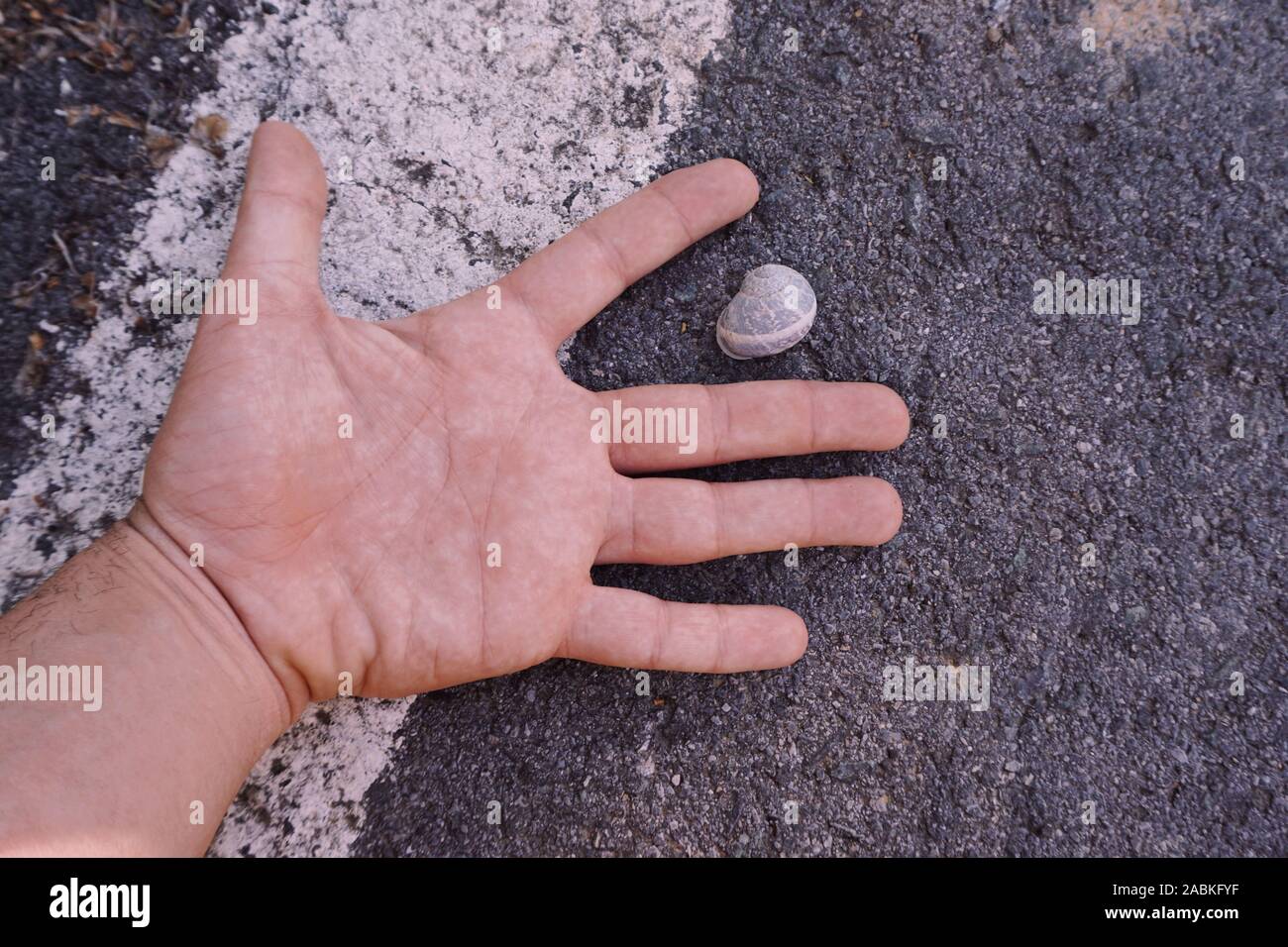 Hand on the ground hi-res stock photography and images - Alamy