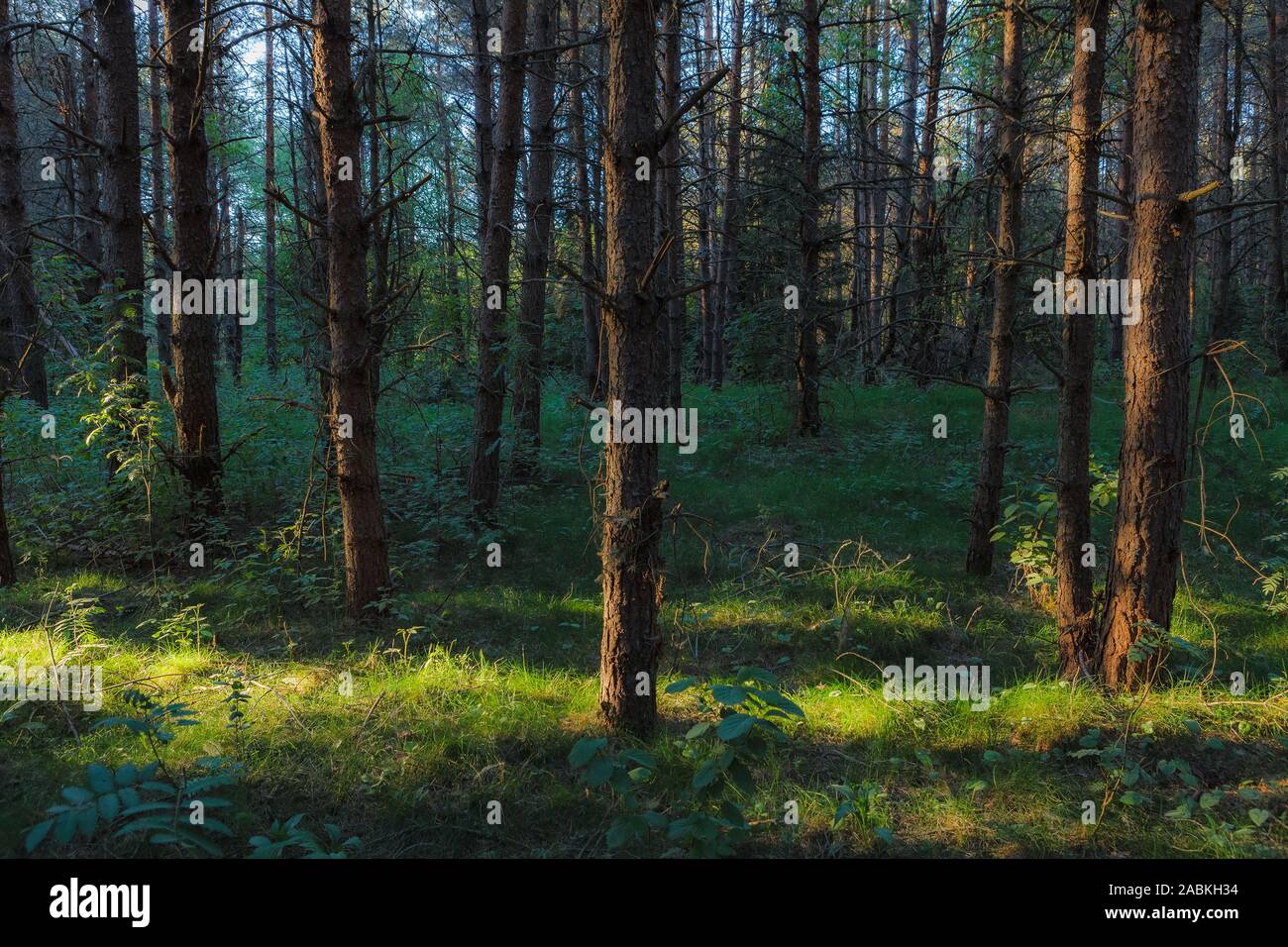 Sunbeam sun late afternoon hi-res stock photography and images - Alamy