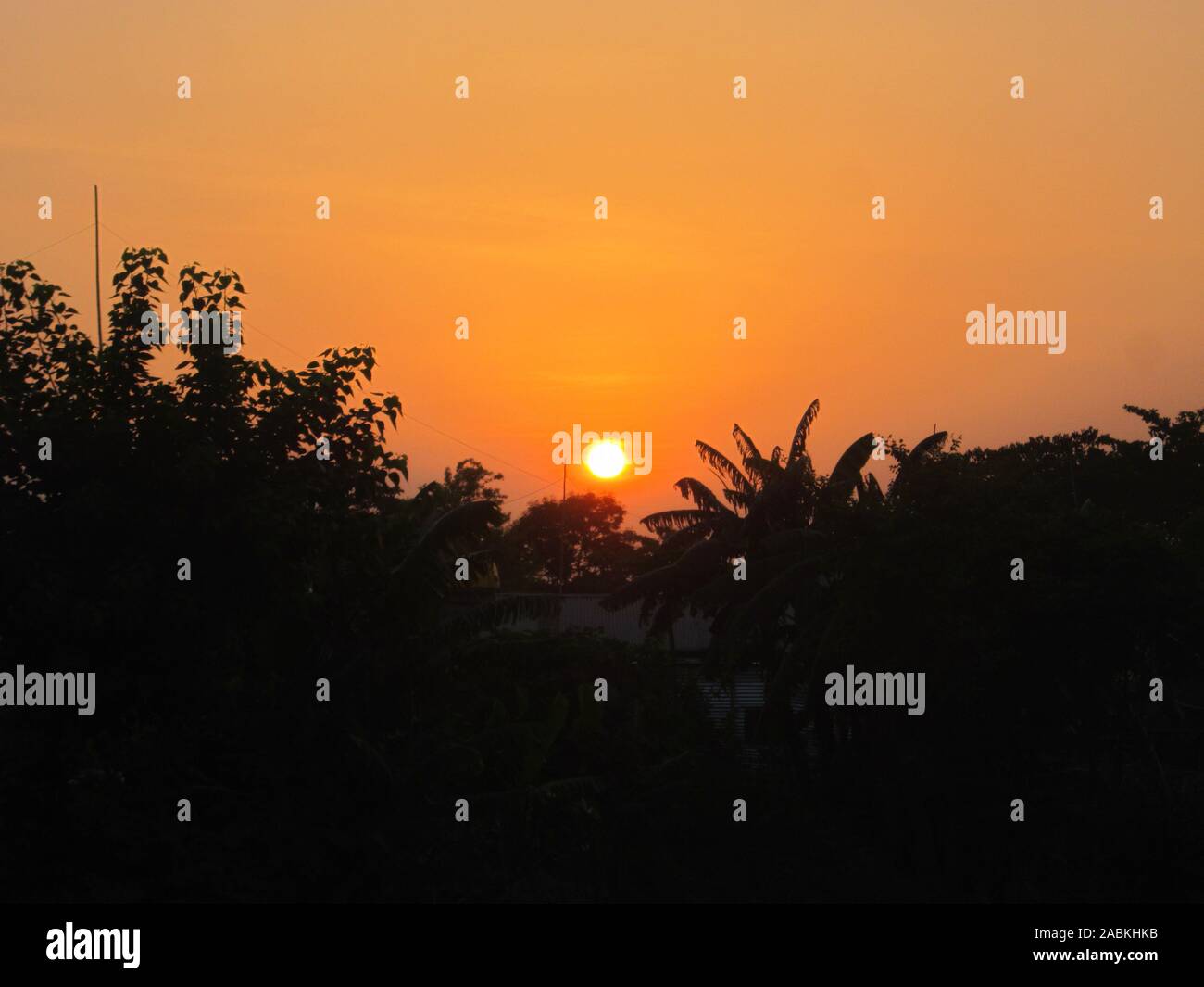 Red sky with sun. Sunset and trees Stock Photo - Alamy