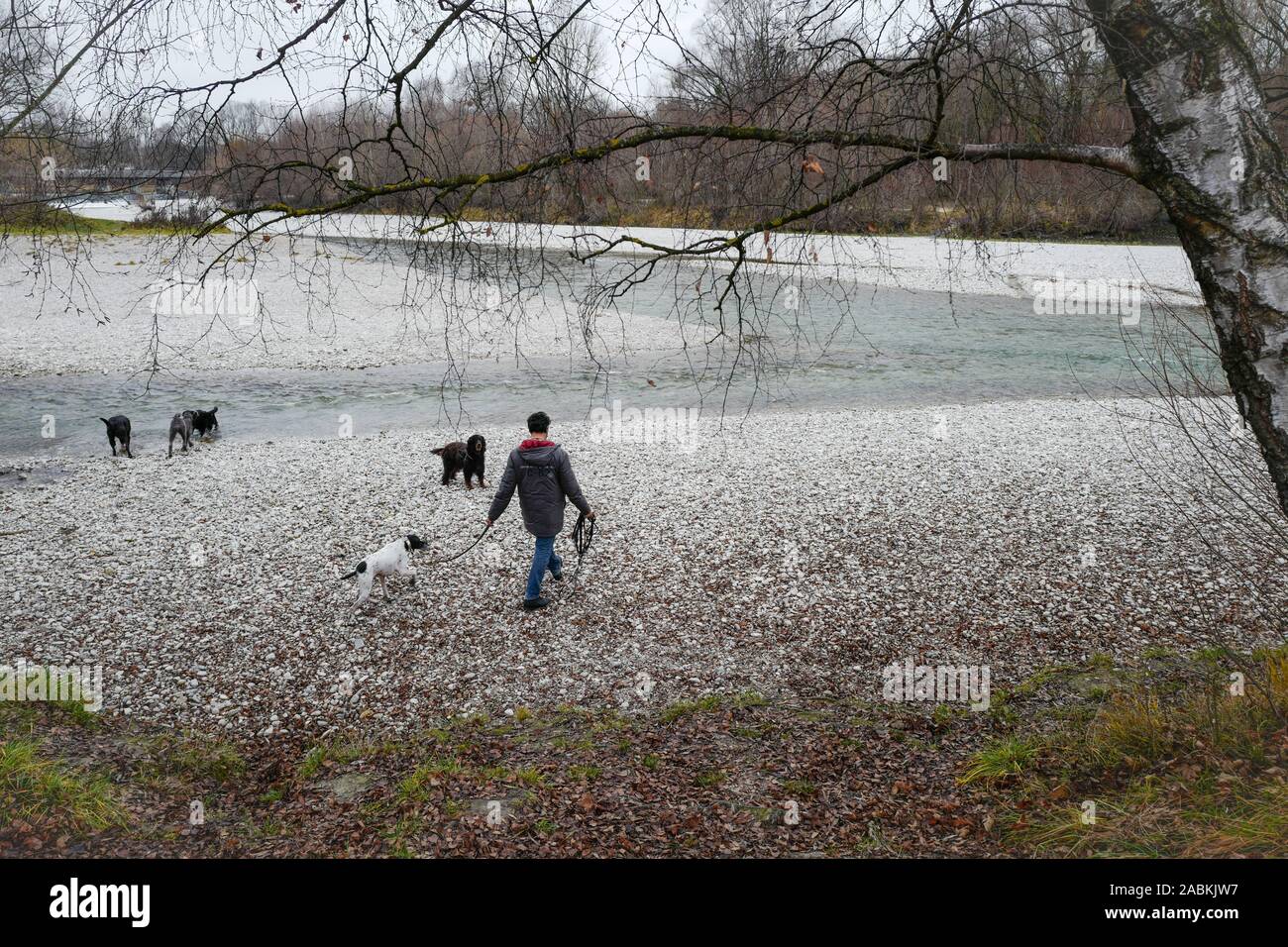 Dogwalker hi-res stock photography and images - Alamy
