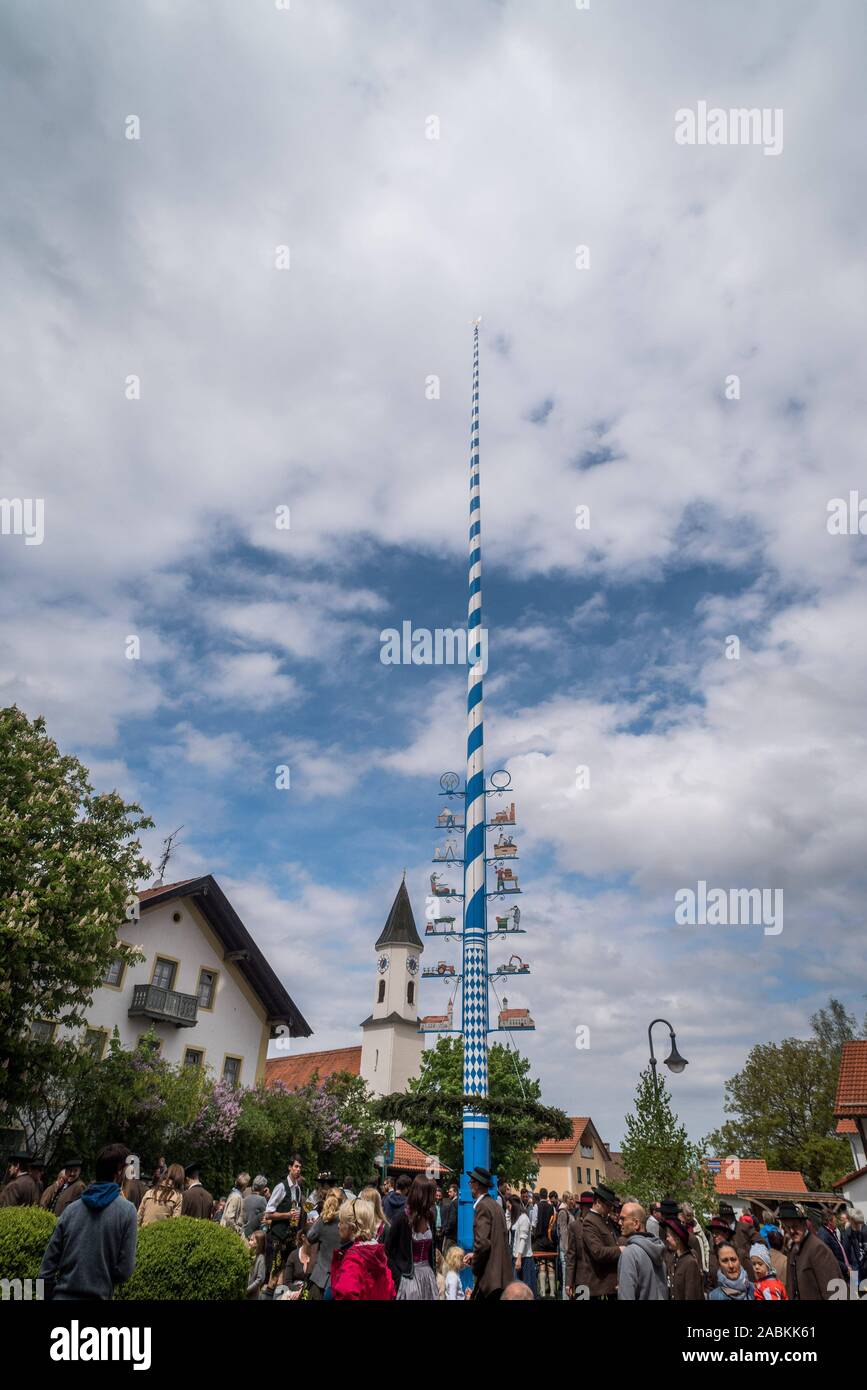 May tree planting in Harthausen near Grasbronn. [automated translation ...