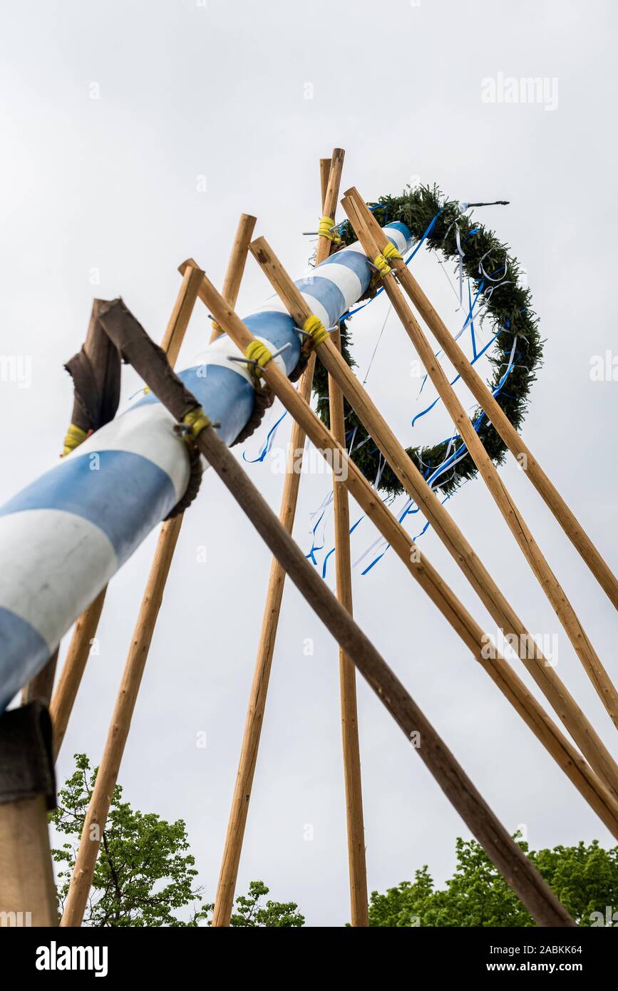 May tree planting in Harthausen near Grasbronn. [automated translation ...