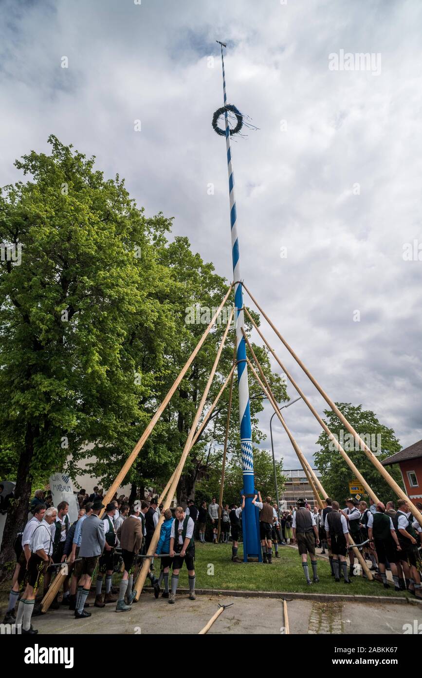 May tree planting in Harthausen near Grasbronn. [automated translation ...