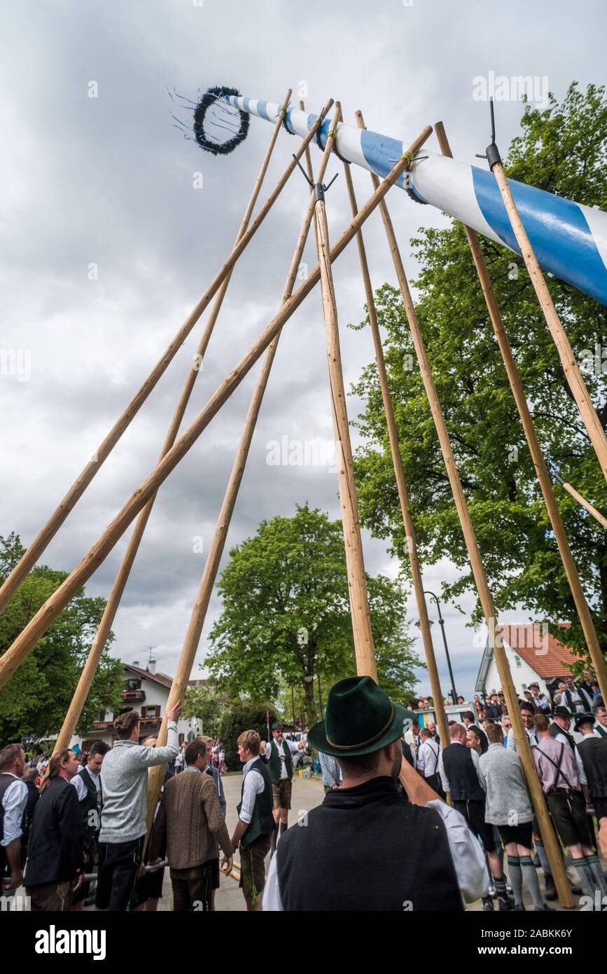 May tree planting in Harthausen near Grasbronn. [automated translation ...