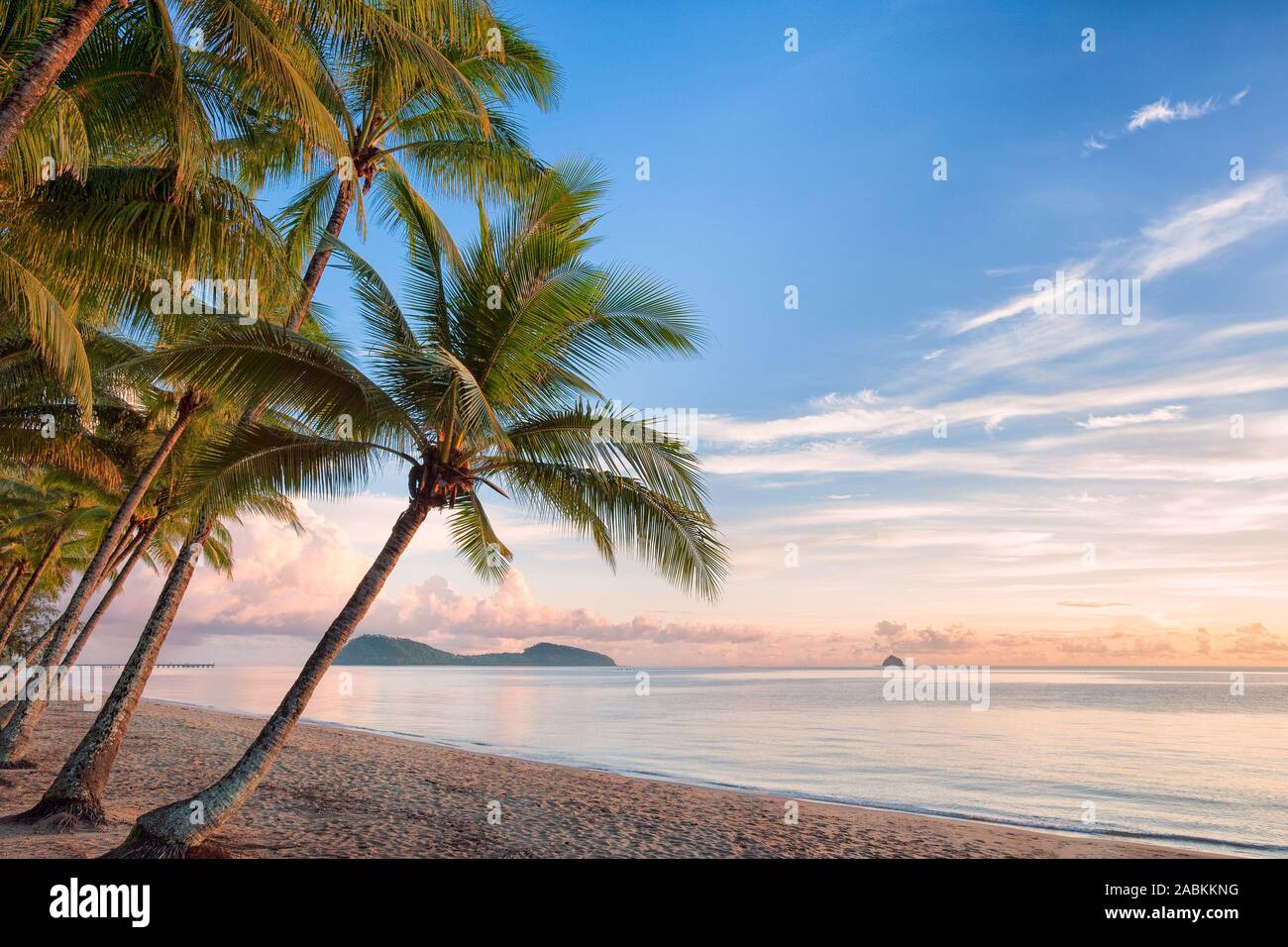 Tropical tourism paradise palms hi-res stock photography and images - Alamy