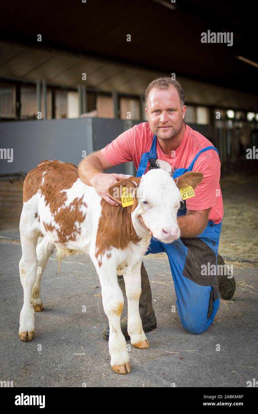Farmer Robert Lechner poses with a calf in front of the cowshed on his farm in Sauerlach ...