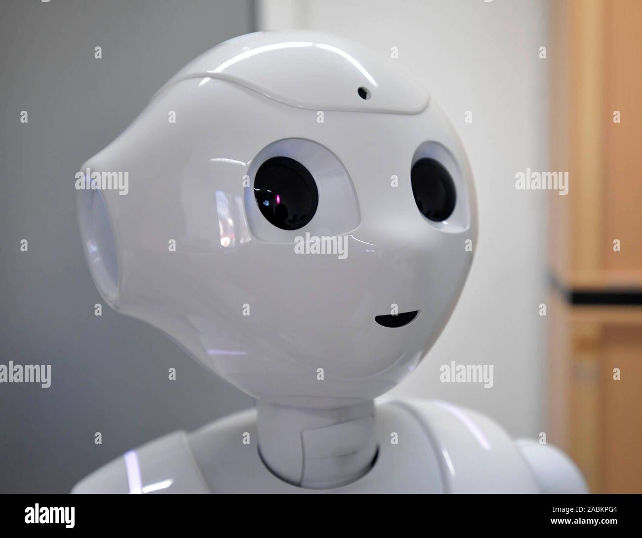 Humanoid robot at the University of the Federal Armed Forces in ...