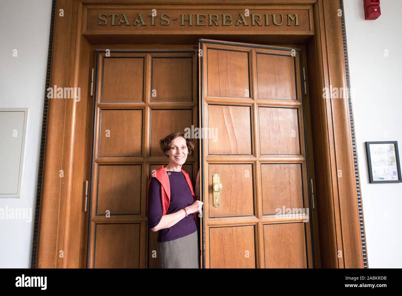 Prof. Susanne Renner, holder of the Chair of Systematic Botany and ...