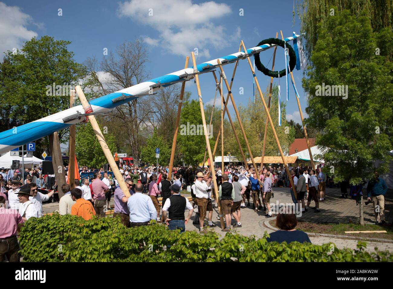 The Olchinger Maypole is traditionally erected by hand. [automated ...