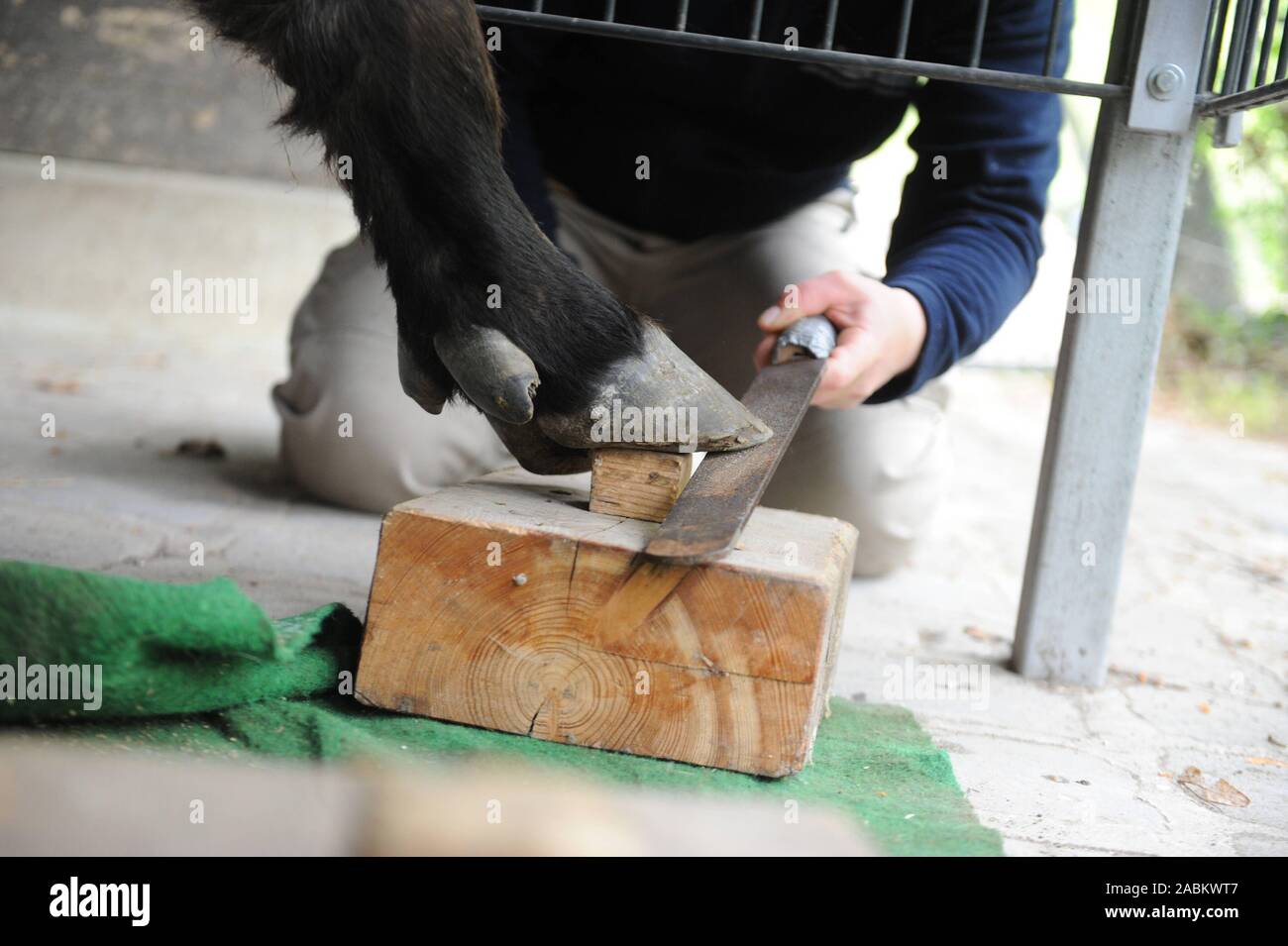 Takinen hi-res stock photography and images - Alamy