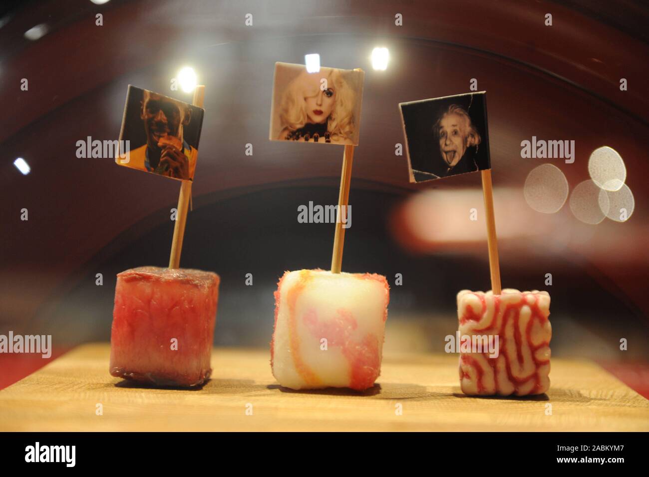 An exhibition in the museum "Man and Nature" in Nymphenburg Castle ...