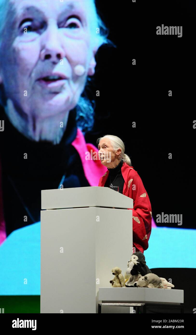 The British biologist and primate researcher Jane Goodall at a ...