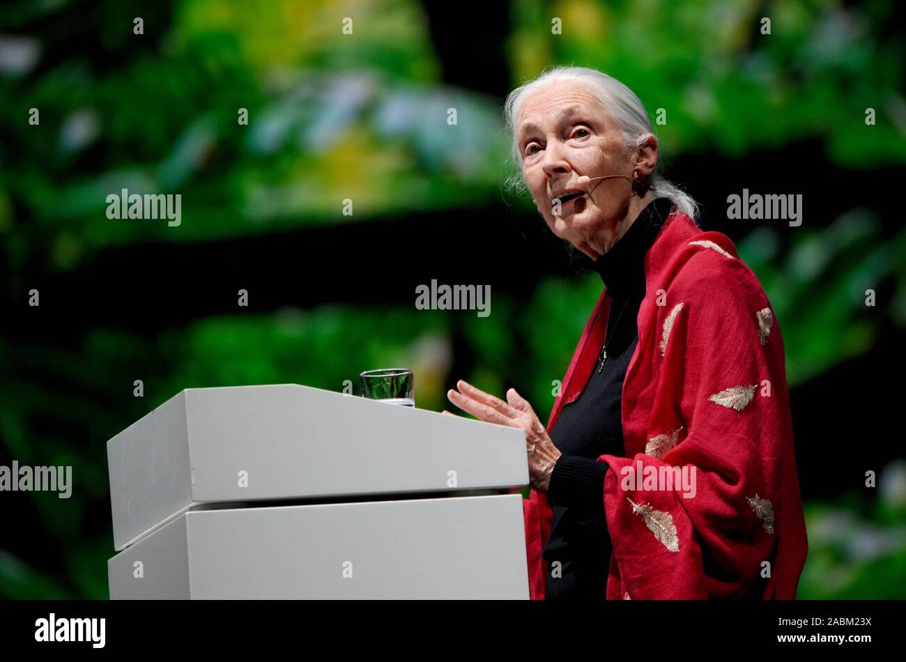 Primate scientist hi-res stock photography and images - Alamy