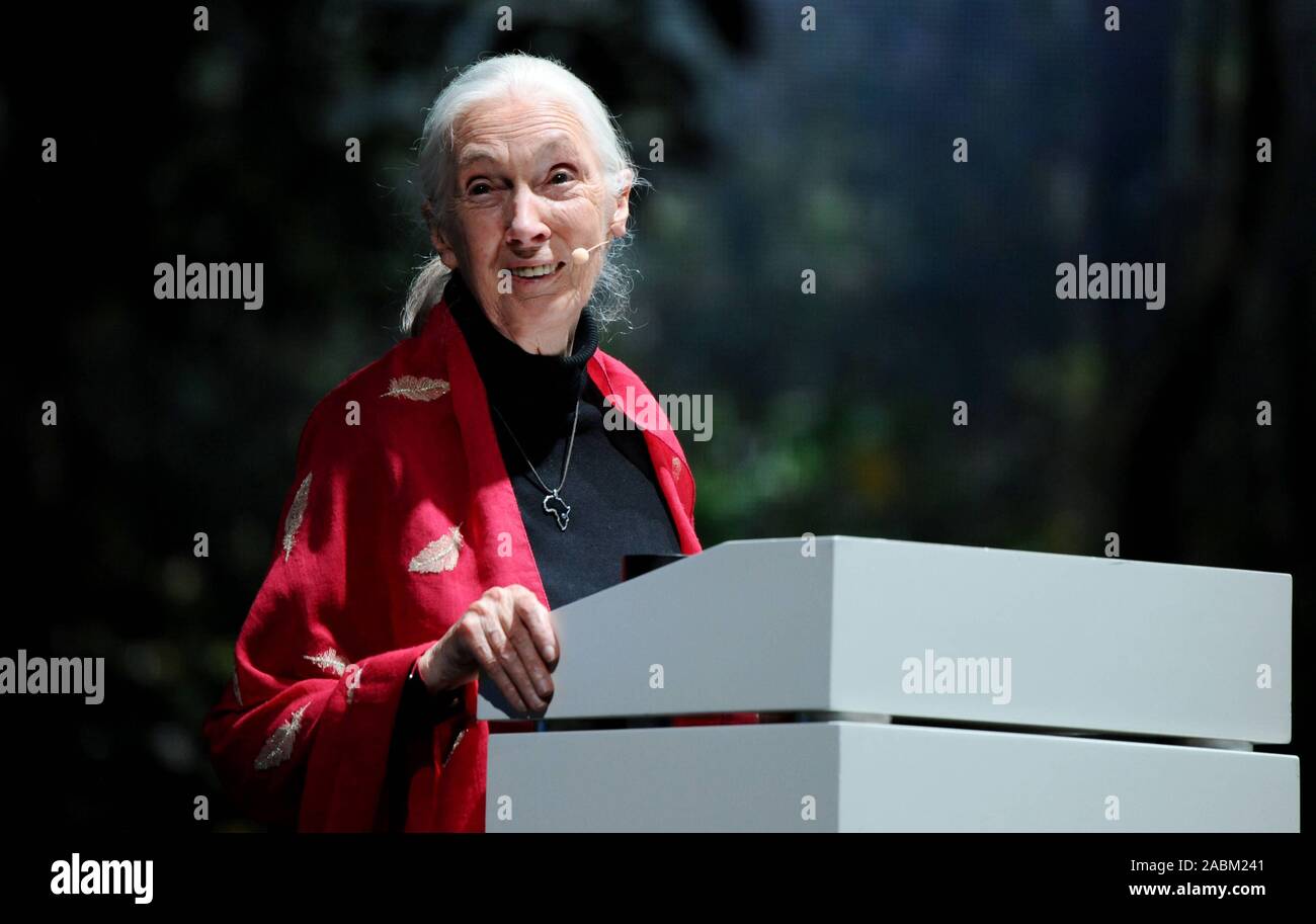 The British biologist and primate researcher Jane Goodall at a ...