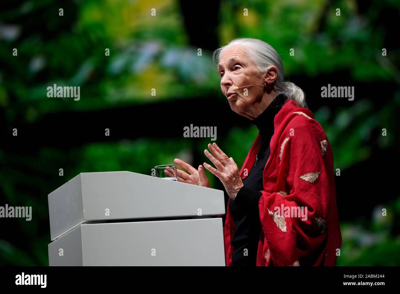 Primate scientist hi-res stock photography and images - Alamy