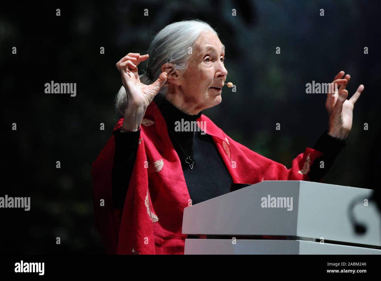 Jane goodall hi-res stock photography and images - Alamy