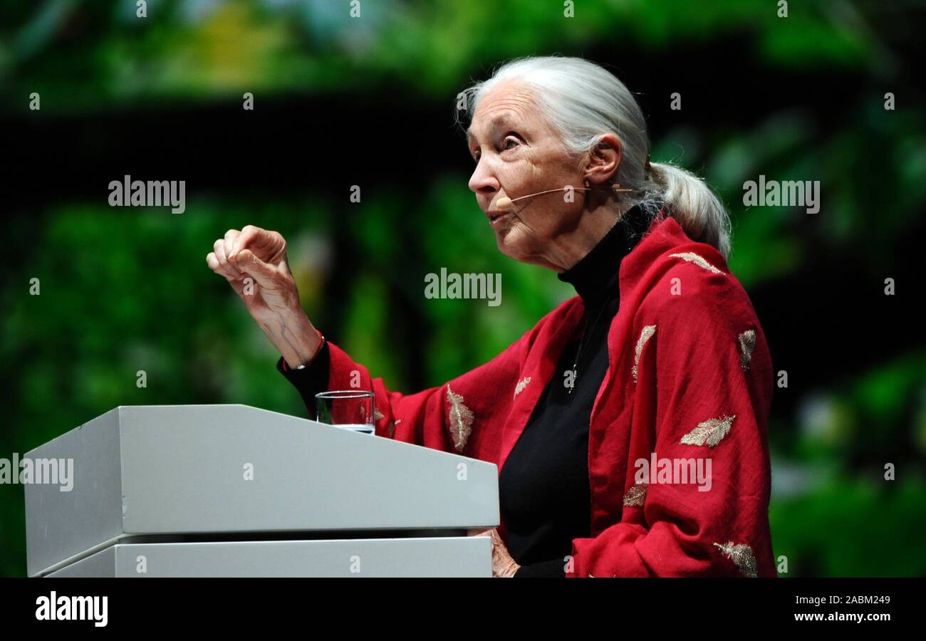 The British biologist and primate researcher Jane Goodall at a ...