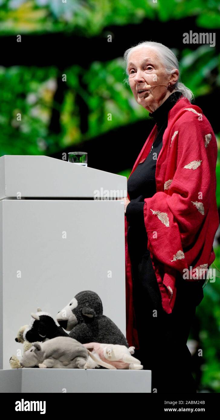 The British biologist and primate researcher Jane Goodall at a ...