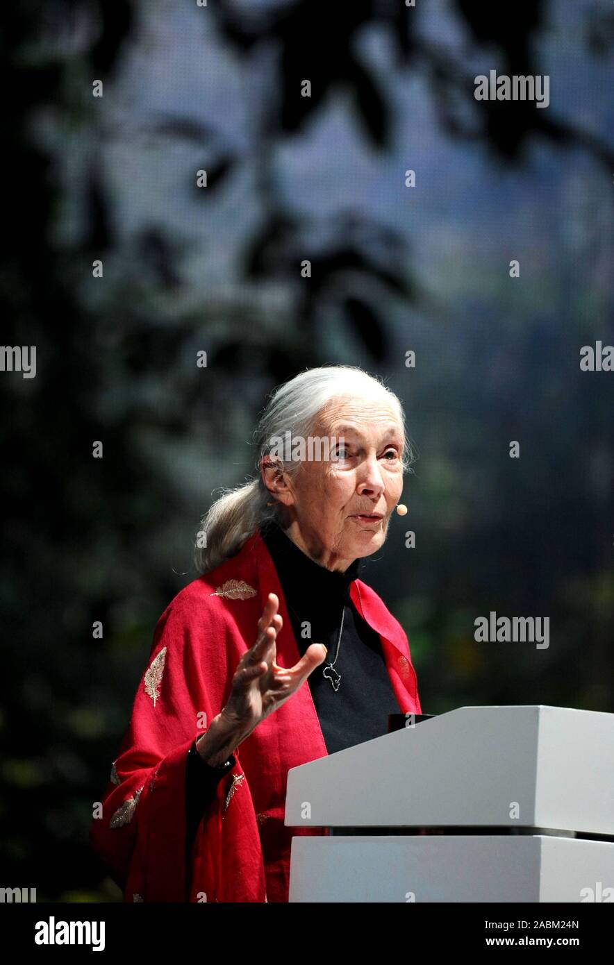 The British biologist and primate researcher Jane Goodall at a ...