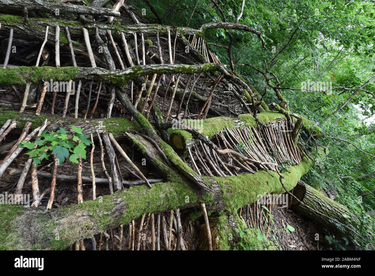 The temporary "Nature Process Art Project" SüdpART3 in the Südpark in ...