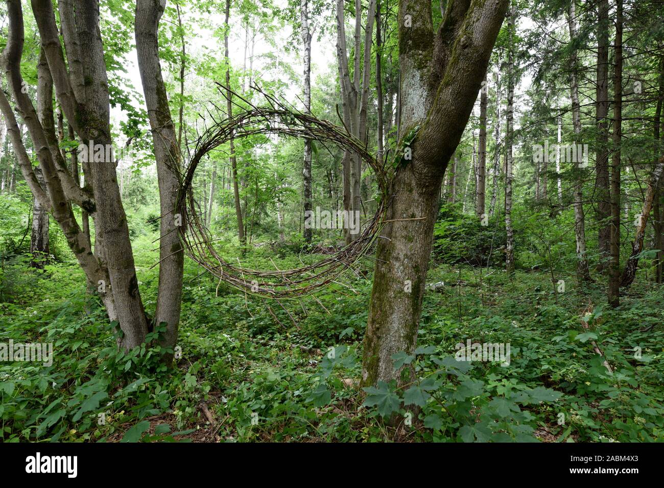 The temporary "Nature Process Art Project" SüdpART3 in the Südpark in ...