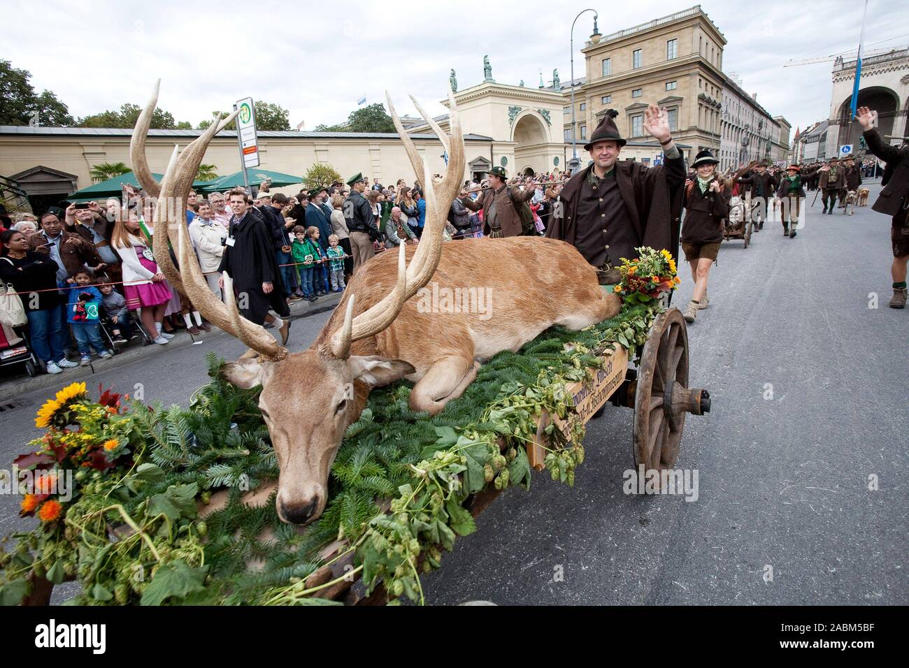 Deer specimen from the German Hunting and Fishing Museum in Munich at ...