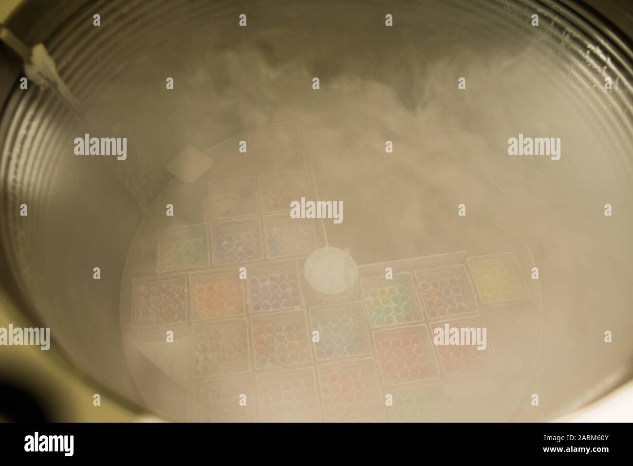 The IVF Spain reproductive clinic stores several million embryos for ...