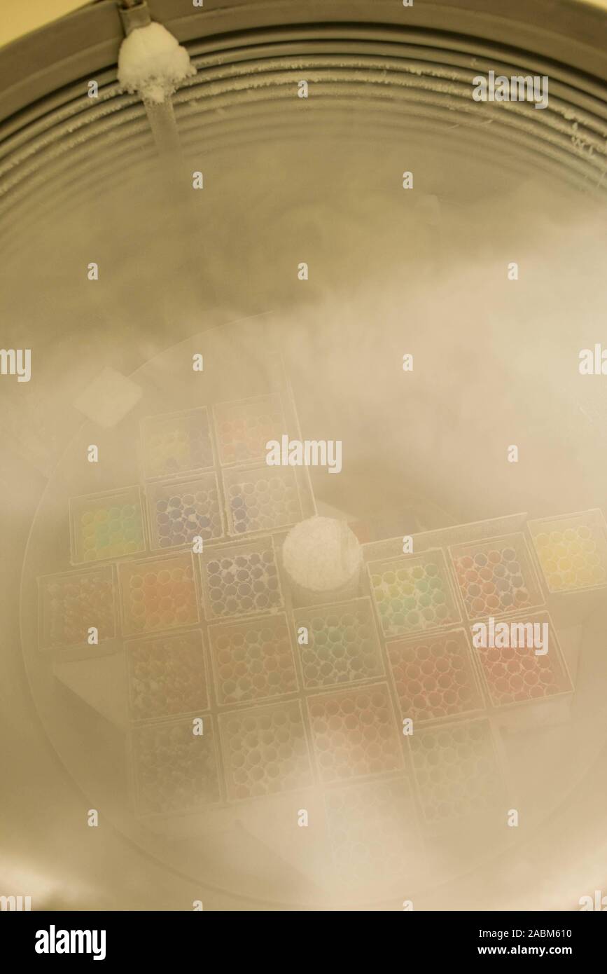 Ivf embryo storage hi-res stock photography and images - Alamy