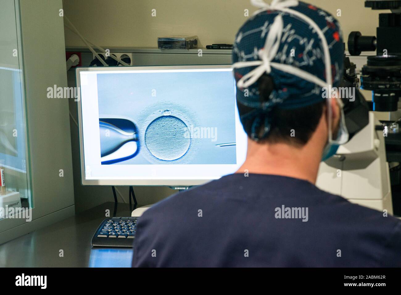 Sperm fertilises egg hi-res stock photography and images - Alamy