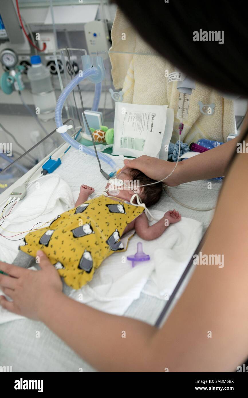 A premature baby and his mother in the intensive care unit for newborns ...